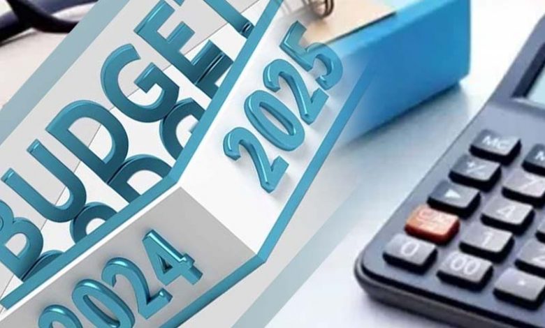 Federal Budget Unveiled: Key Allocations and Measures