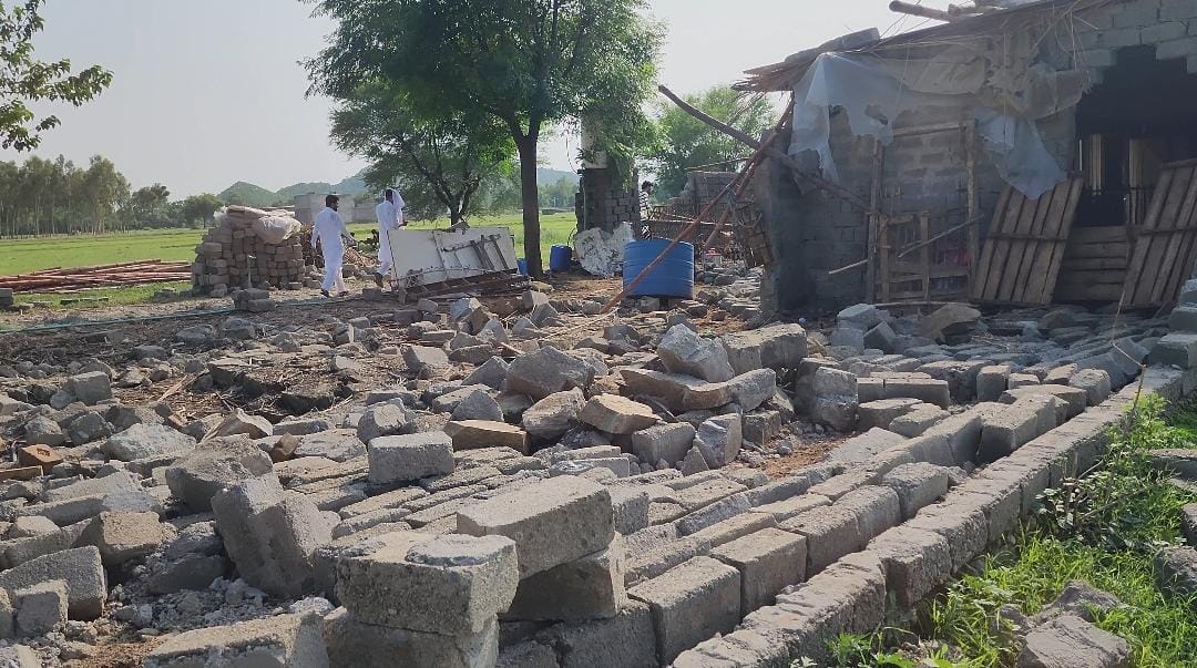 Over 30 Goats Killed as Heavy Rains Damage Mardan Farm; KP Issues ...