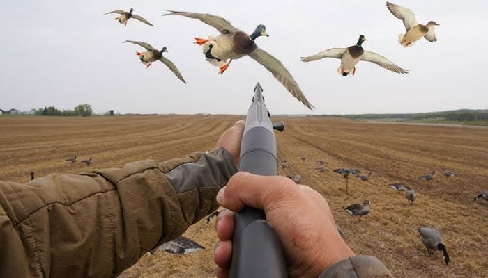 KP Imposes Strict Hunting Ban Across 57 Water Bodies to Protect Rare Birds